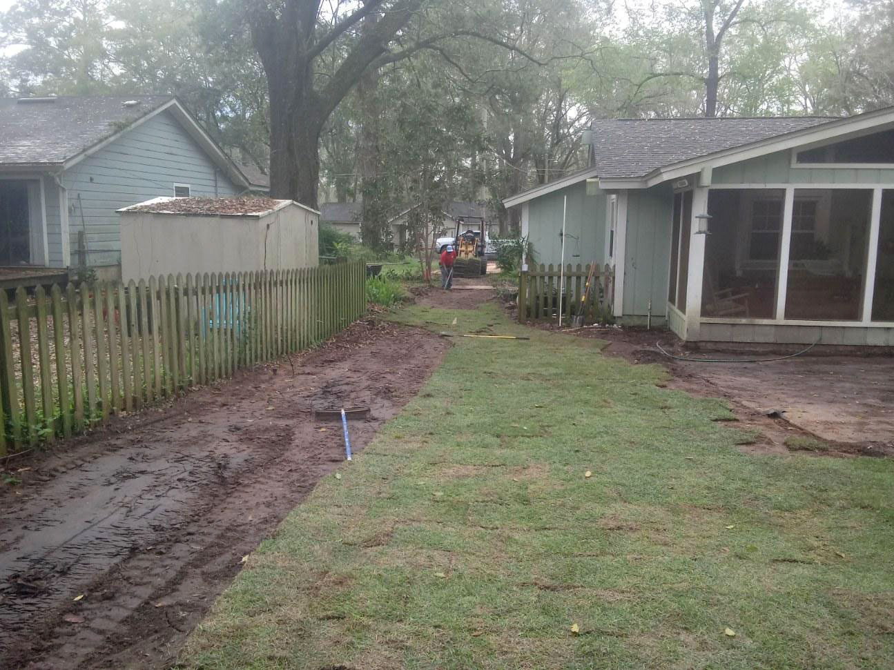 AAA Tree Experts | Tree Service Tallahassee