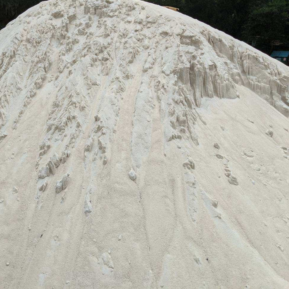 AAA Tree Experts | Tree Service Tallahassee